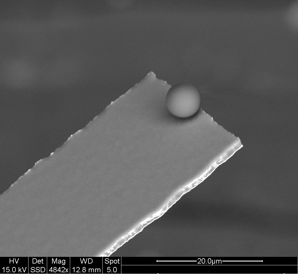 Customized colloidal probes *NEW* — ScanSens